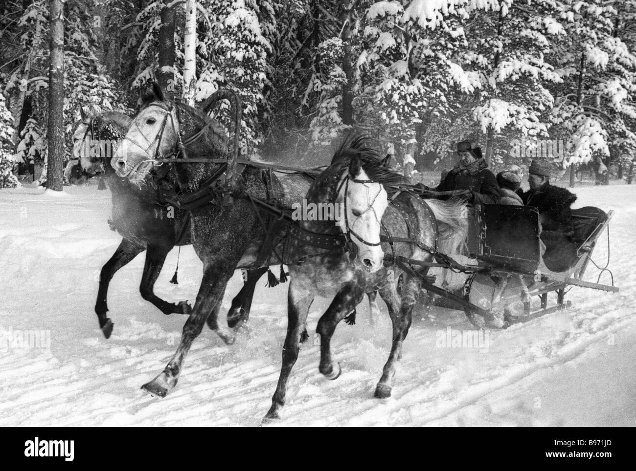 Muscovites riding a troika during Russian winter festival Stock Photo ...