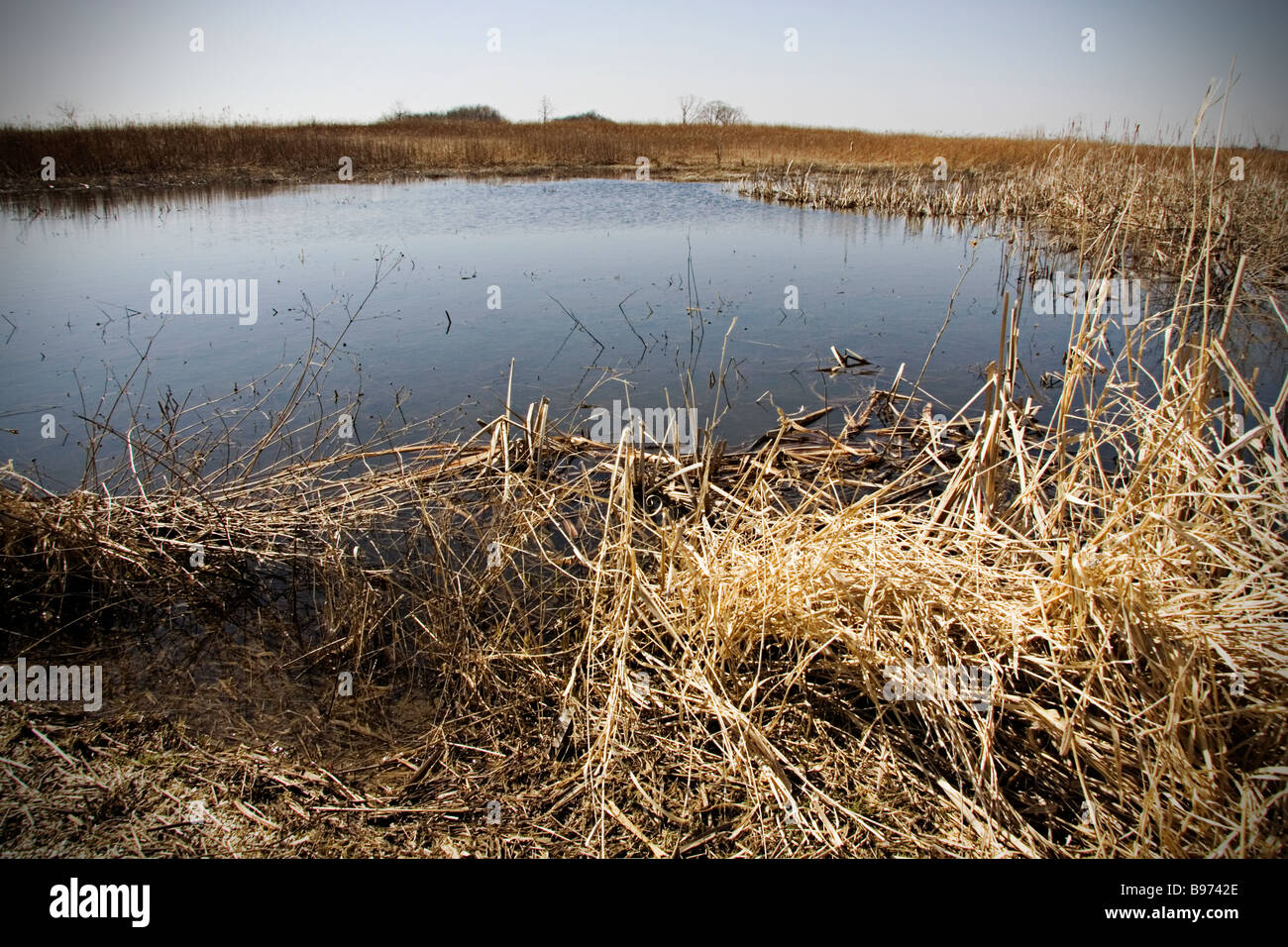 Springbrook Prairie Forest Preserve Stock Photo - Alamy