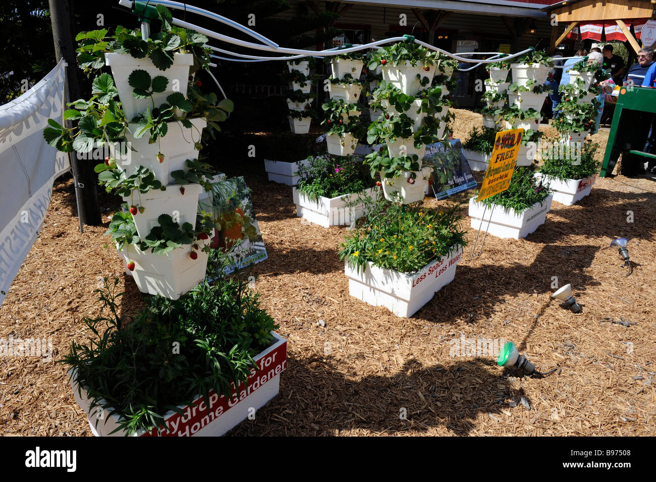 Hydroponics Display at Florida State Fairgrounds Tampa Stock Photo - Alamy