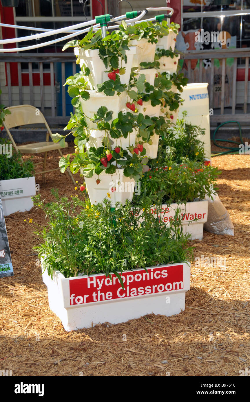 Hydroponics hi-res stock photography and images - Alamy