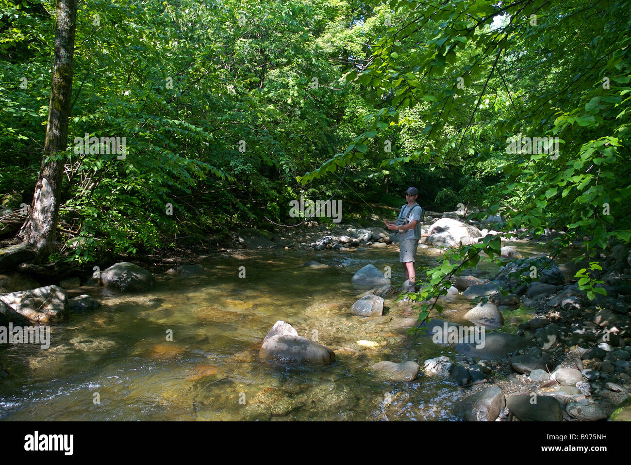 Fisherman summer brook trout hi-res stock photography and images - Alamy