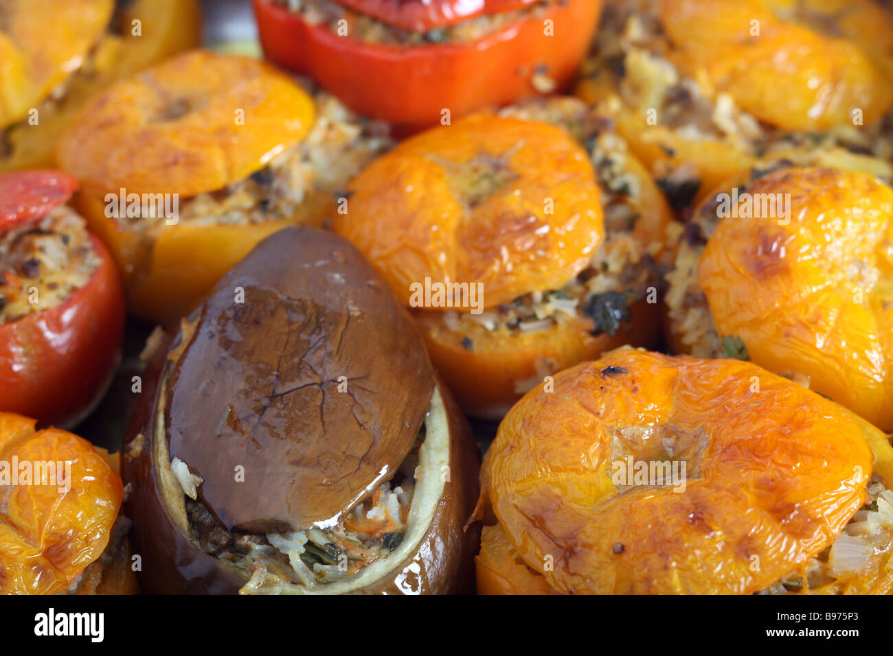 Traditional Greek style stuffed vegetables fresh from the oven with ...