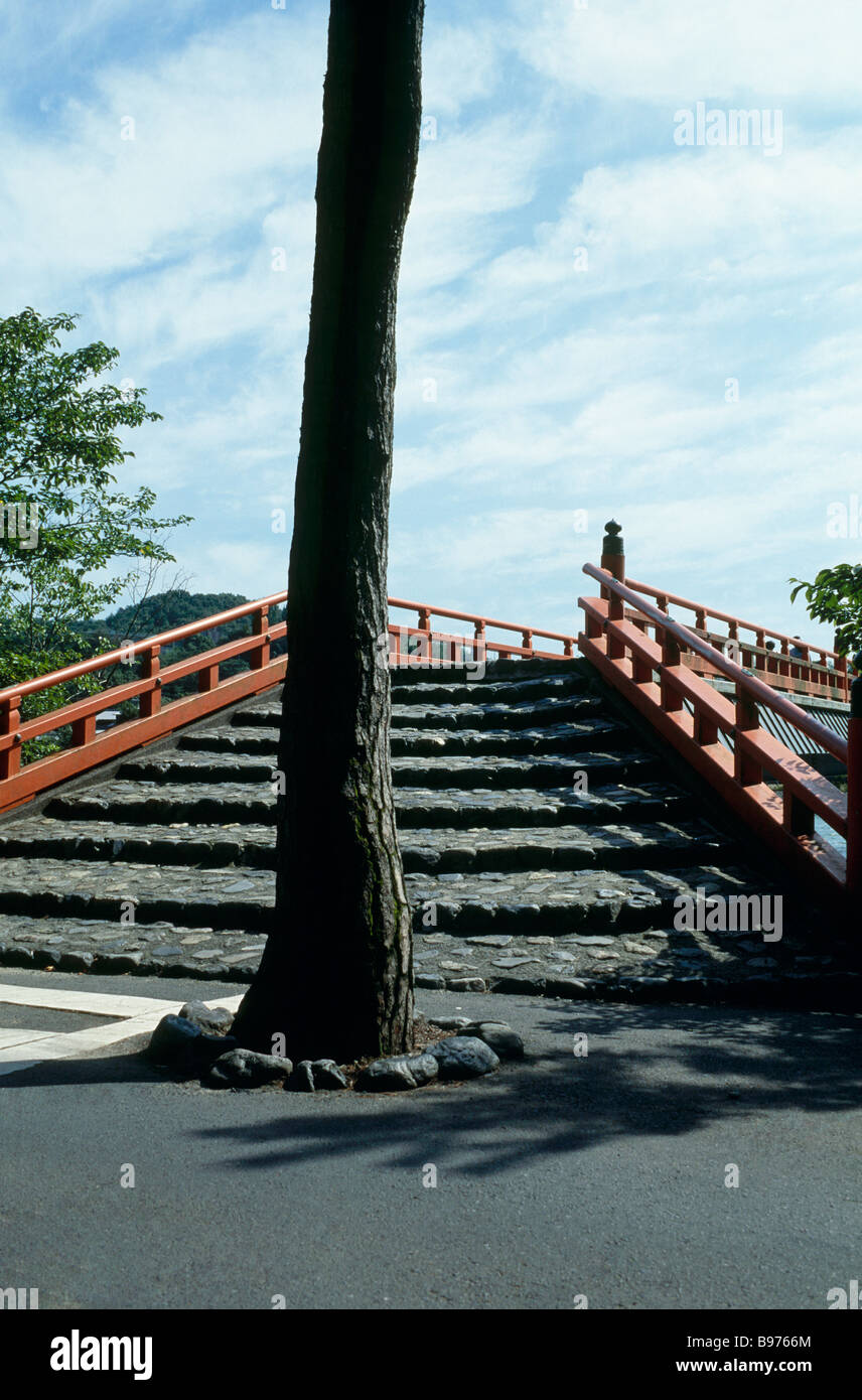 Steps and tree Stock Photo - Alamy