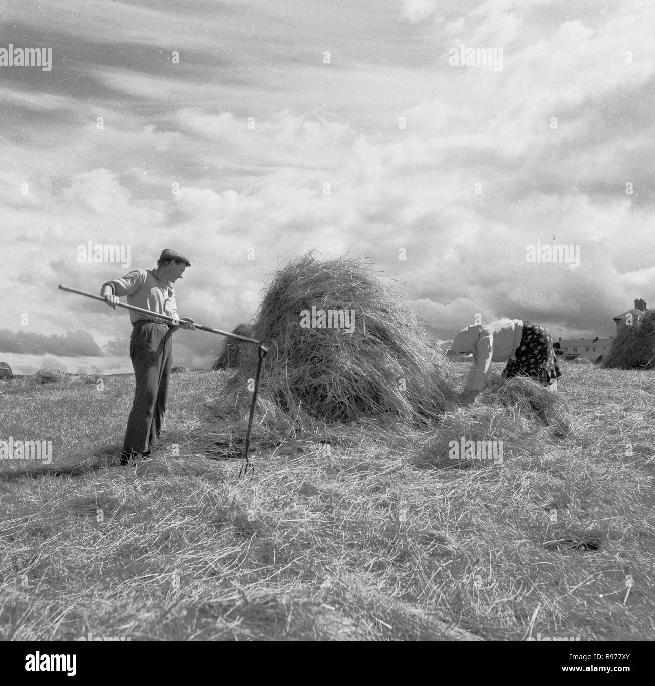 Farming ireland 1950s hi-res stock photography and images - Alamy