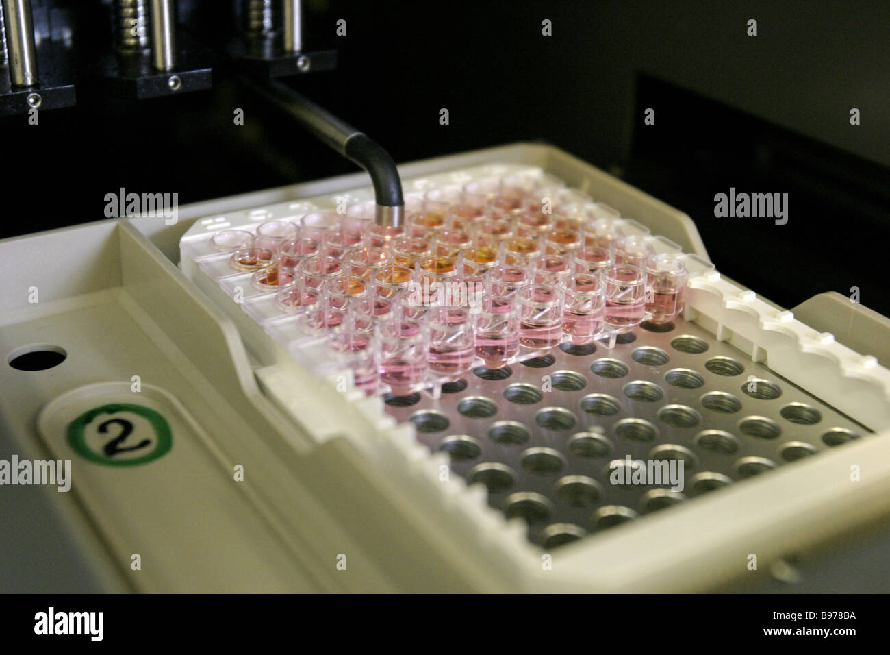 Testing donor blood for virus infections in a sero lab of the Moscow ...