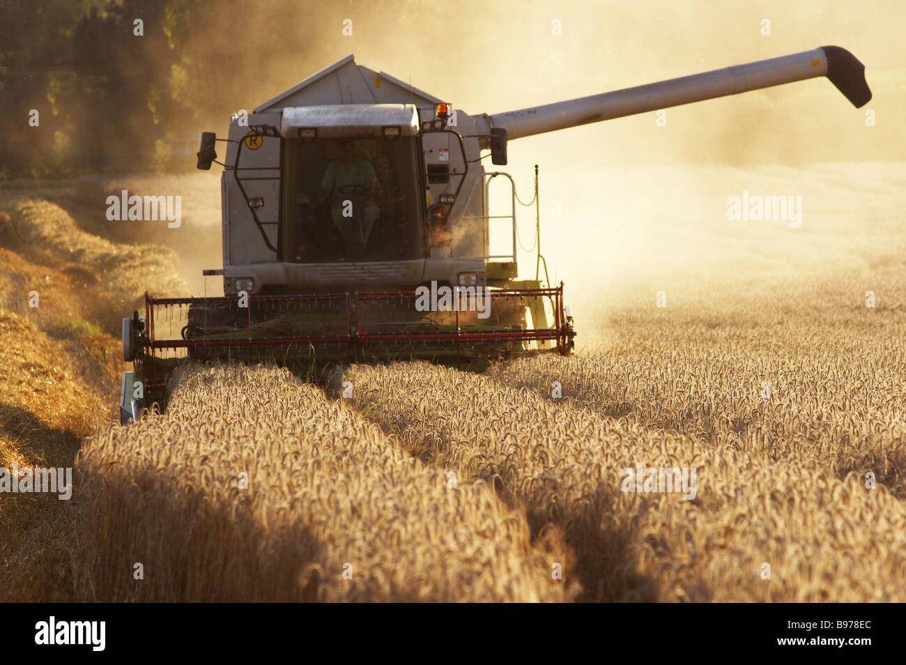 Breeding units hi-res stock photography and images - Alamy