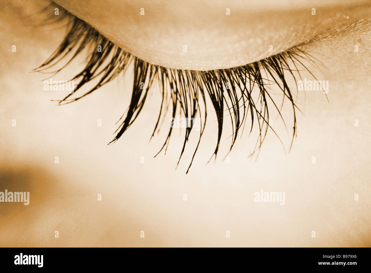 Closed eye - macro Stock Photo - Alamy