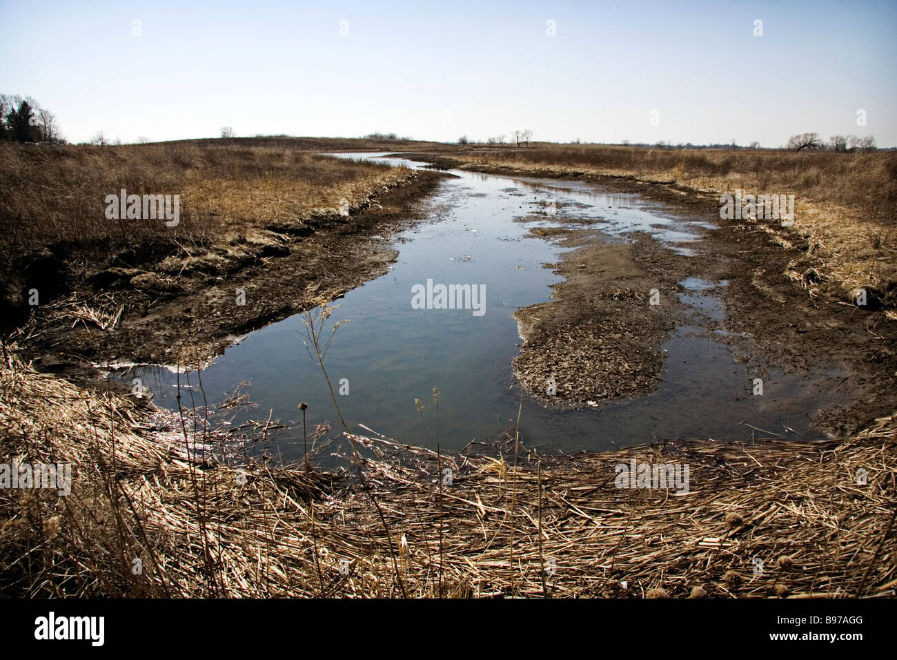 Springbrook Prairie Forest Preserve Stock Photo - Alamy