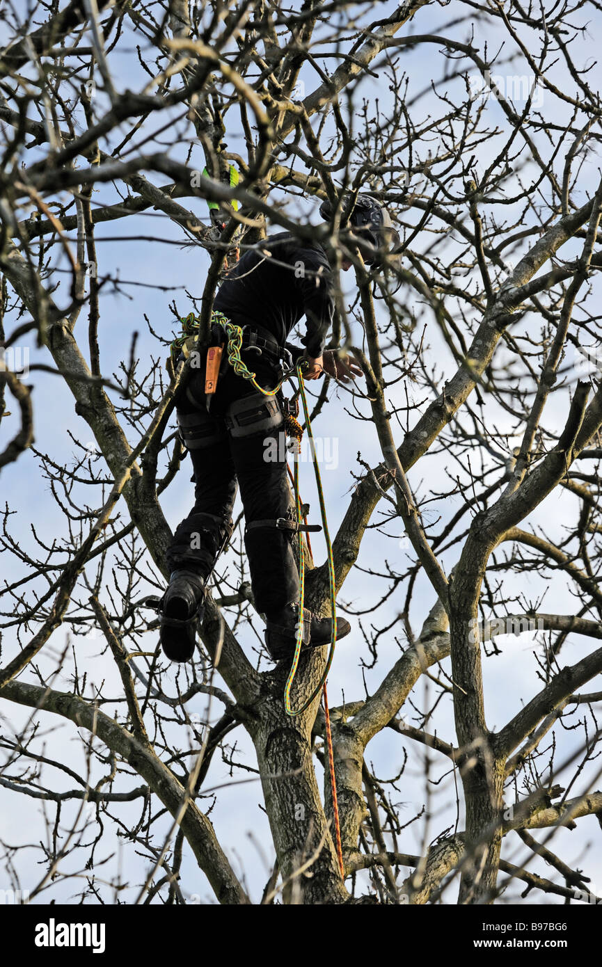 Climbing or ascending hi-res stock photography and images - Alamy
