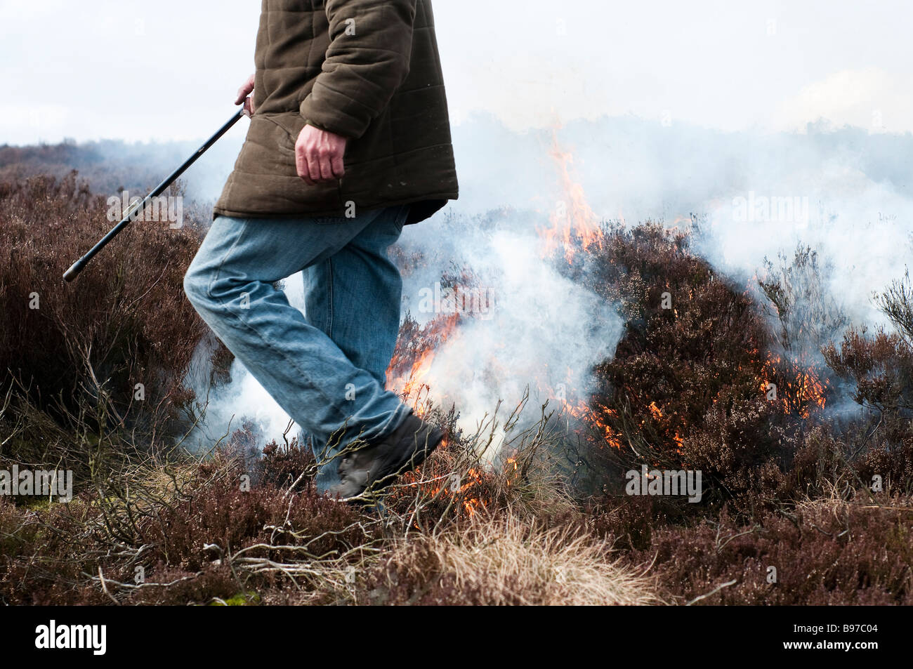 A game keeper setting fire to the old heather on top of Barden Fell ...