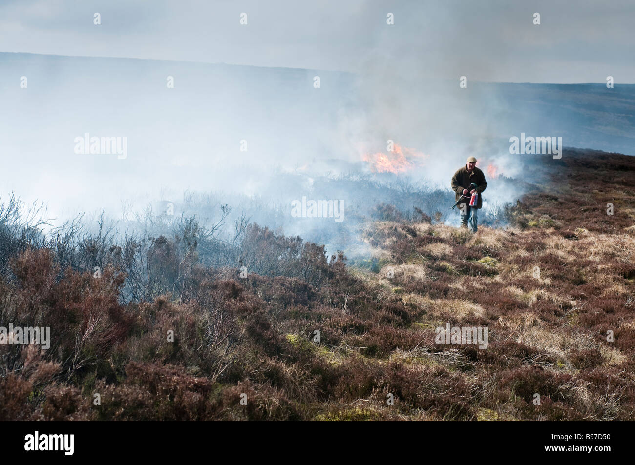 A gamekeeper setting fire to the old heather on Barden Fell, North ...