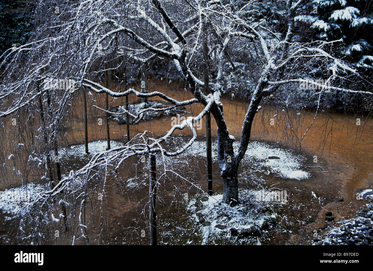 Dead snow hi-res stock photography and images - Alamy
