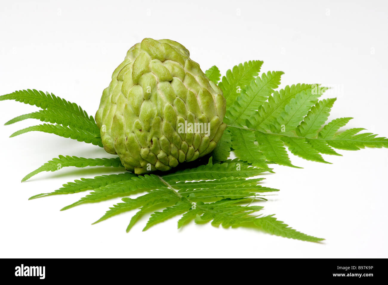 Atemoia hi-res stock photography and images - Alamy