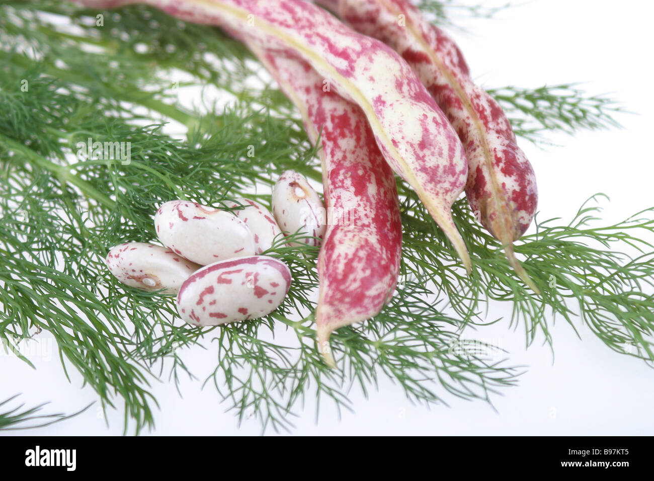 Haricot beans hi-res stock photography and images - Alamy