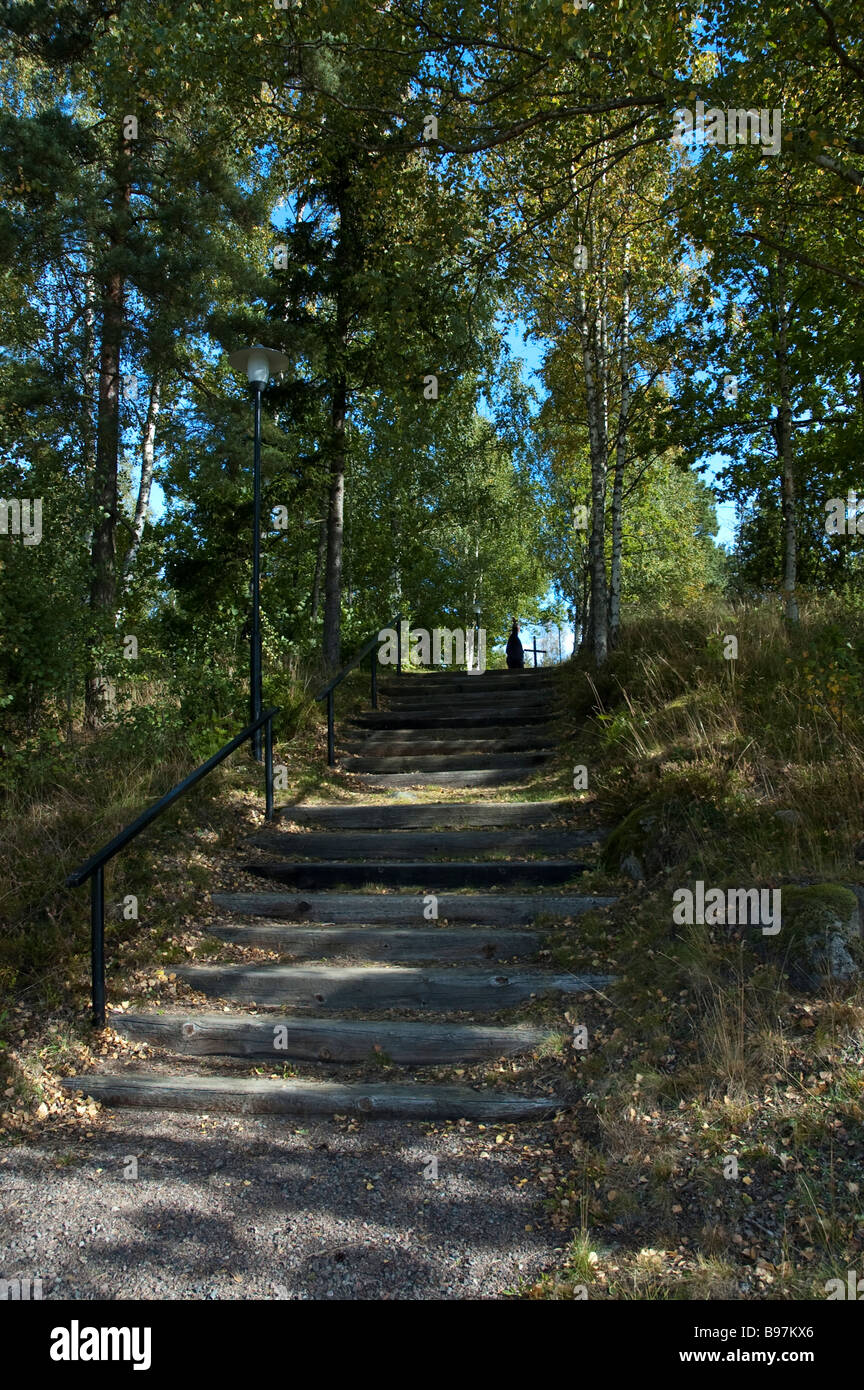 timber steps on Forest path Stock Photo - Alamy