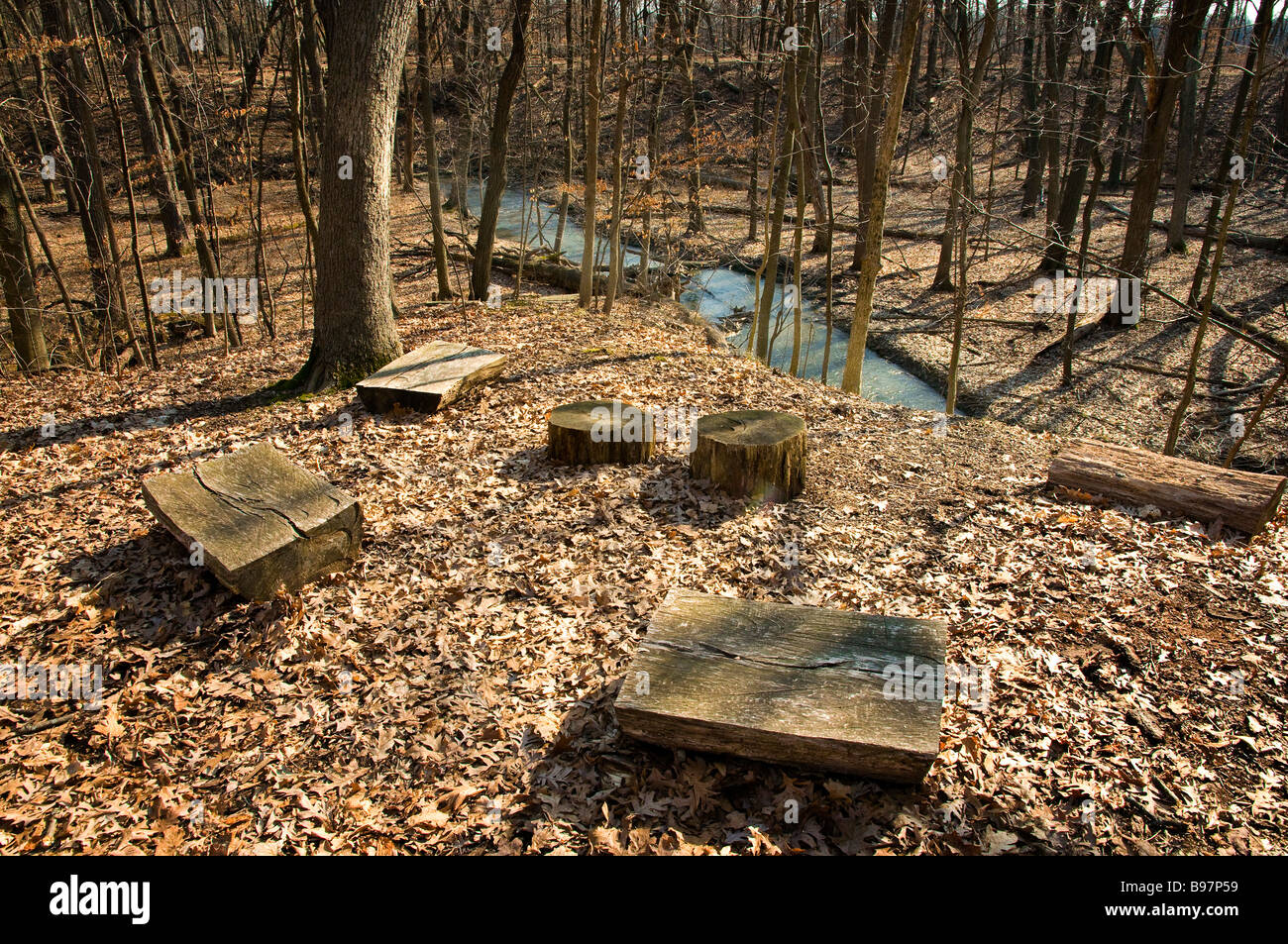Log Seats on Forest Bluff Above Stream Stock Photo - Alamy