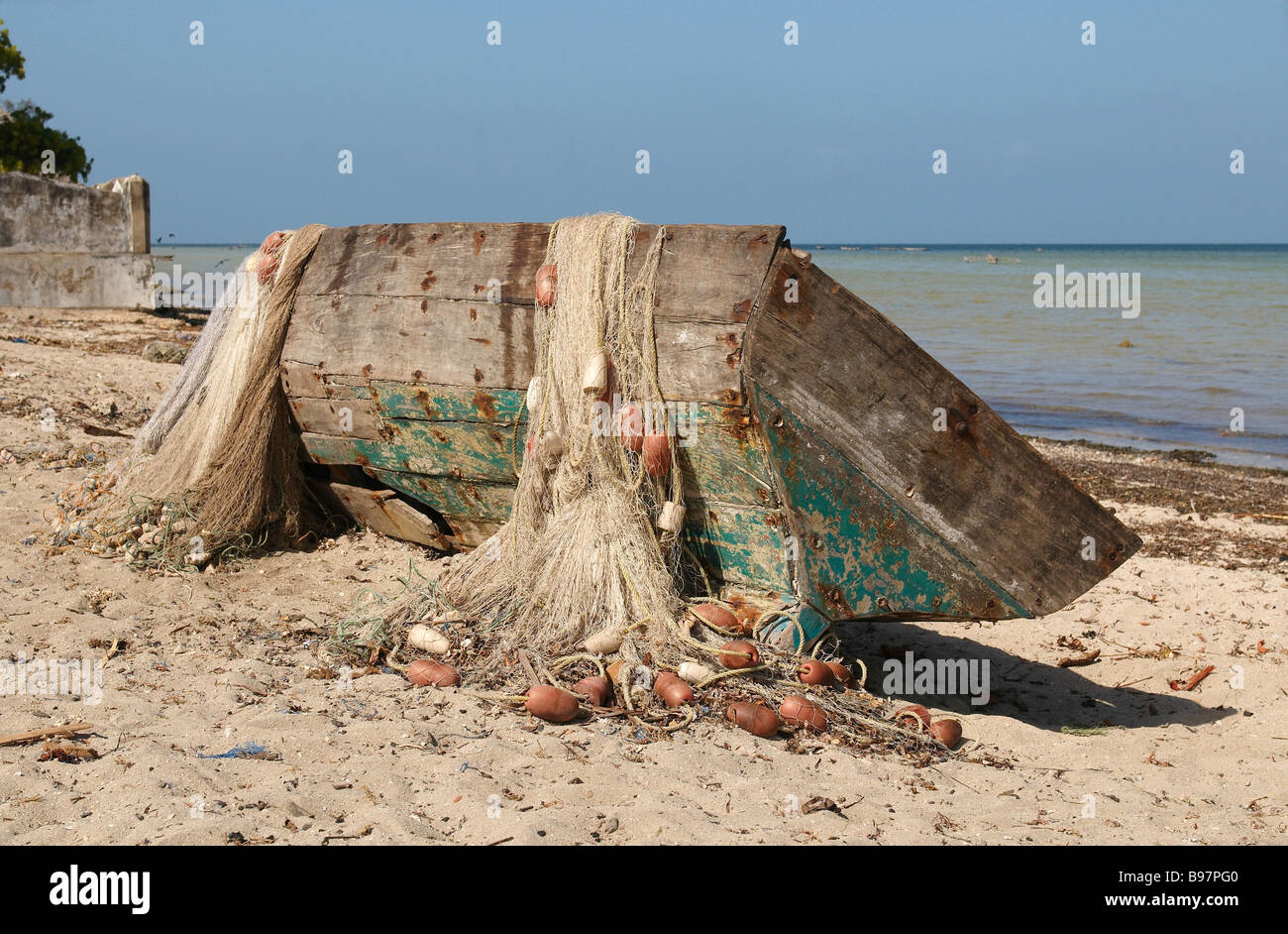 Cog fish hi-res stock photography and images - Alamy