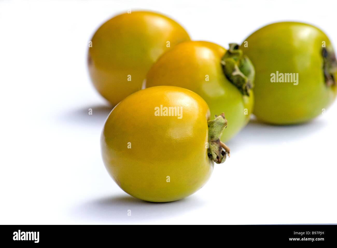 Japanese persimmons diospyros kaki hi-res stock photography and images ...