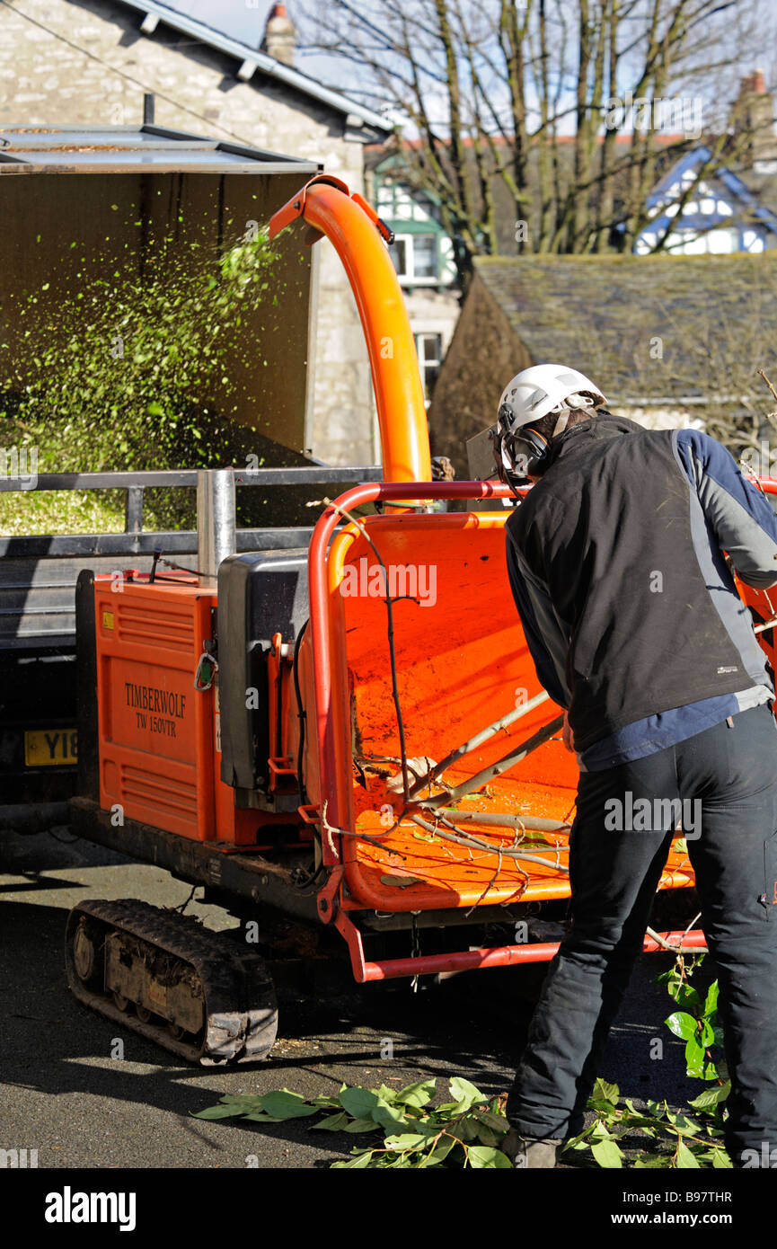 Tree Shredding Machine Stock Photos & Tree Shredding Machine Stock ...