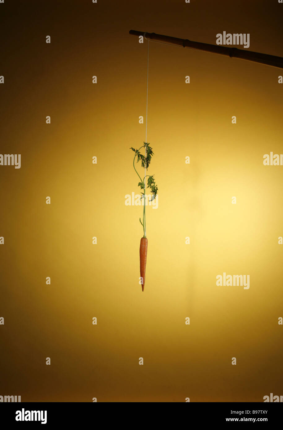 a carrot dangling from a stick Stock Photo - Alamy