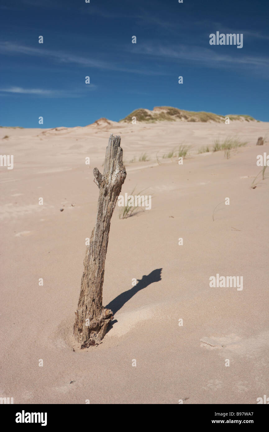 Wydma lacka hi-res stock photography and images - Alamy