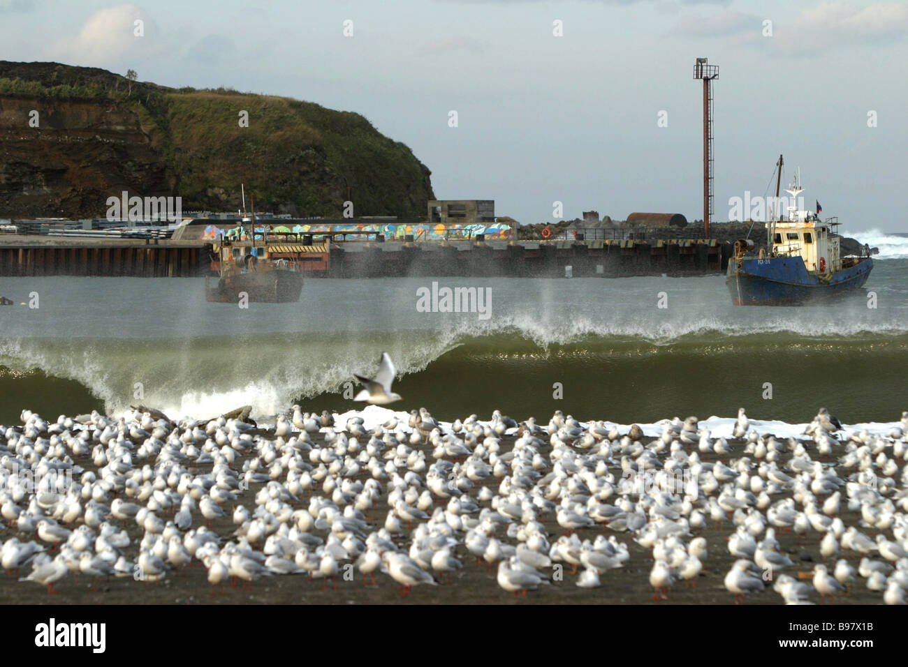 Iturup Island Olya Bay Sakhalin Region Stock Photo - Alamy
