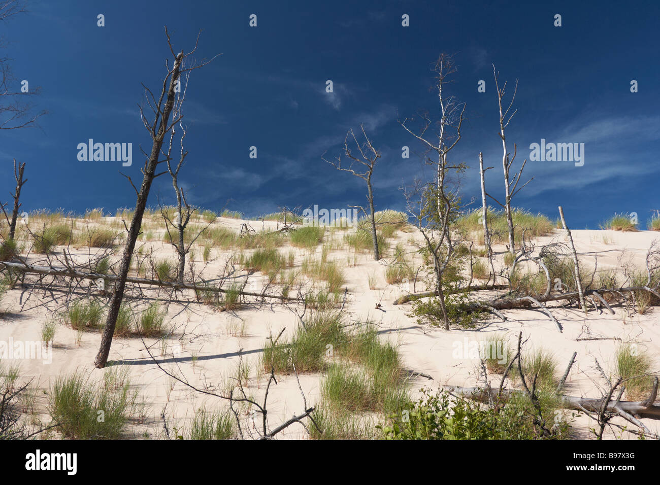 Wydma lacka hi-res stock photography and images - Alamy