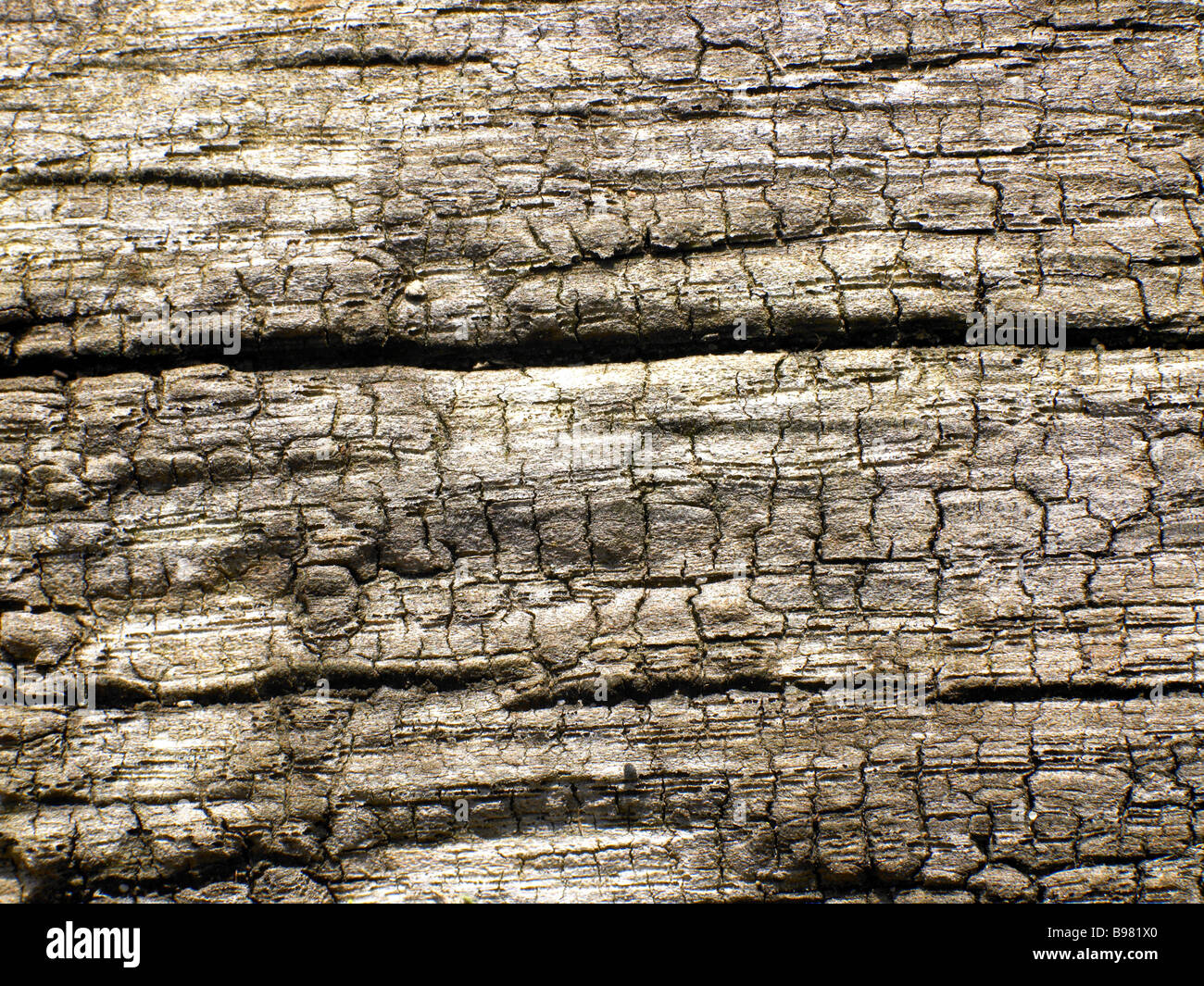 A close up of weathered wood Stock Photo - Alamy