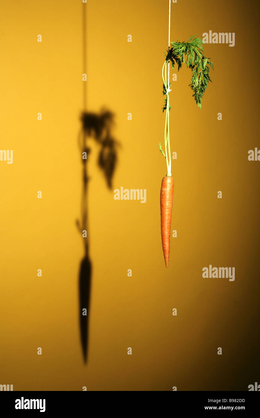 Dangling a carrot High Resolution Stock Photography and Images - Alamy