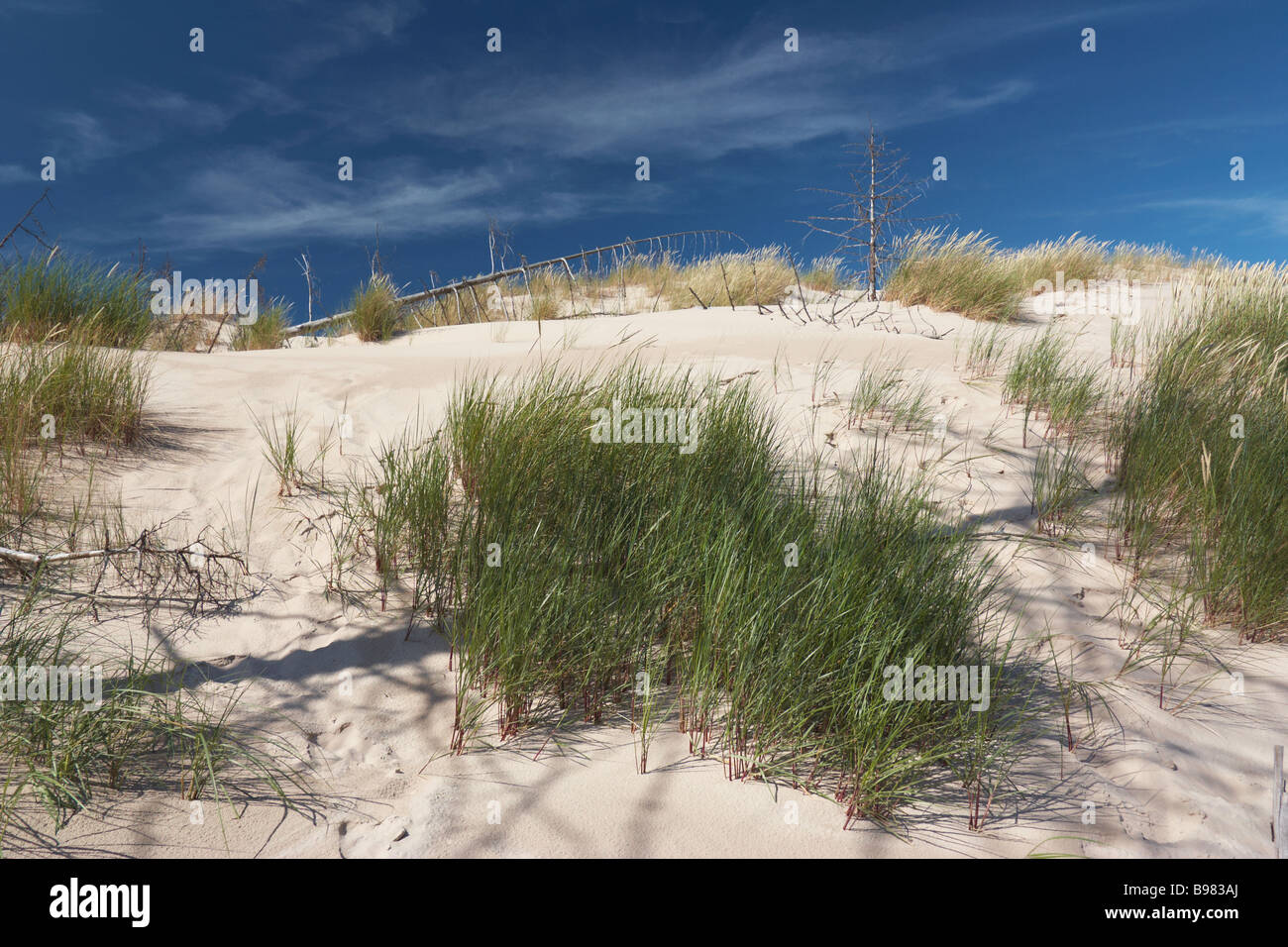 Lacka Gora dunes moving front pushing over forest of trees Slowinski ...
