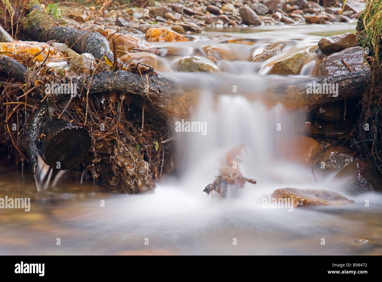 Strathyre forest hi-res stock photography and images - Alamy