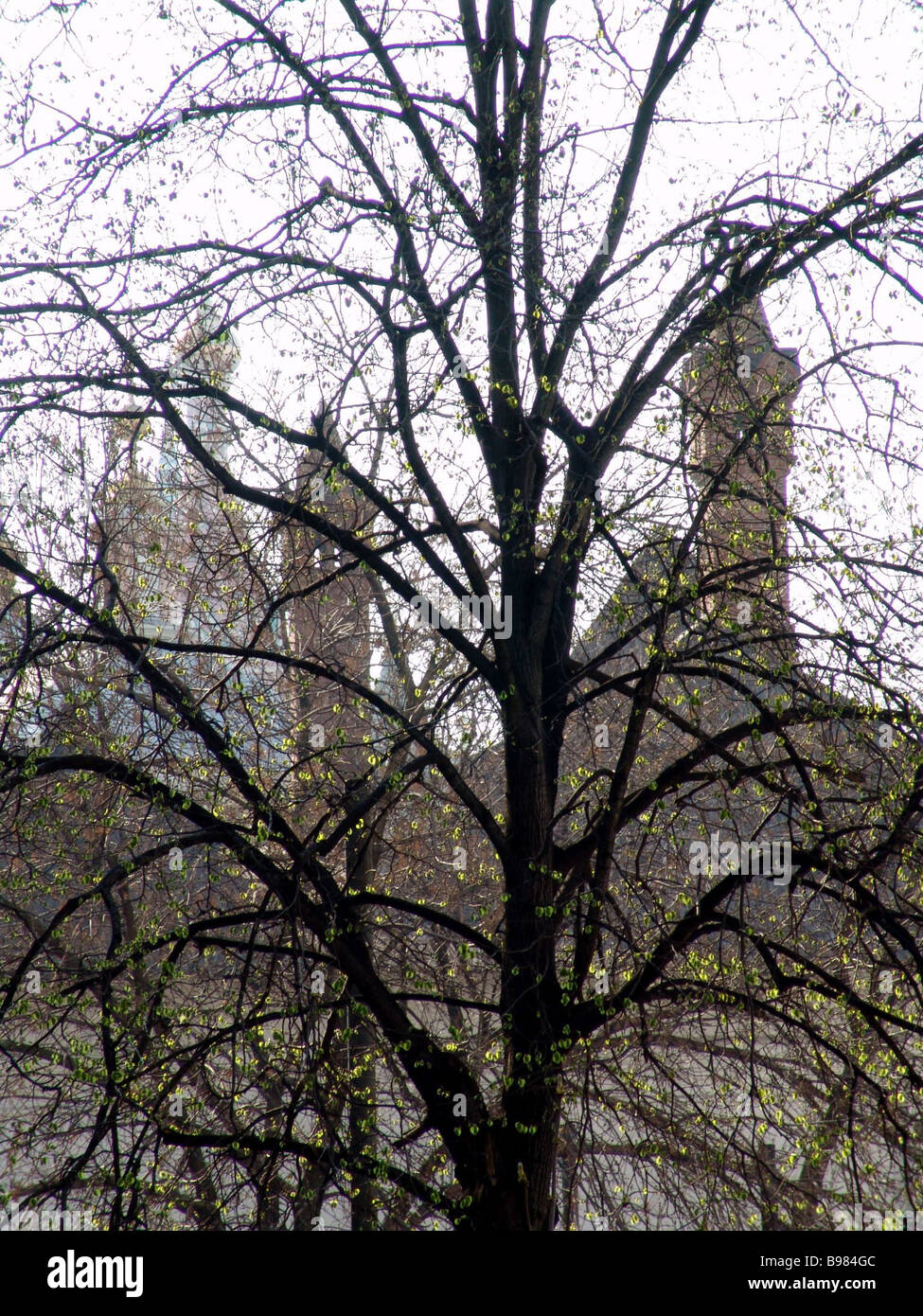A springtime idyll Stock Photo - Alamy