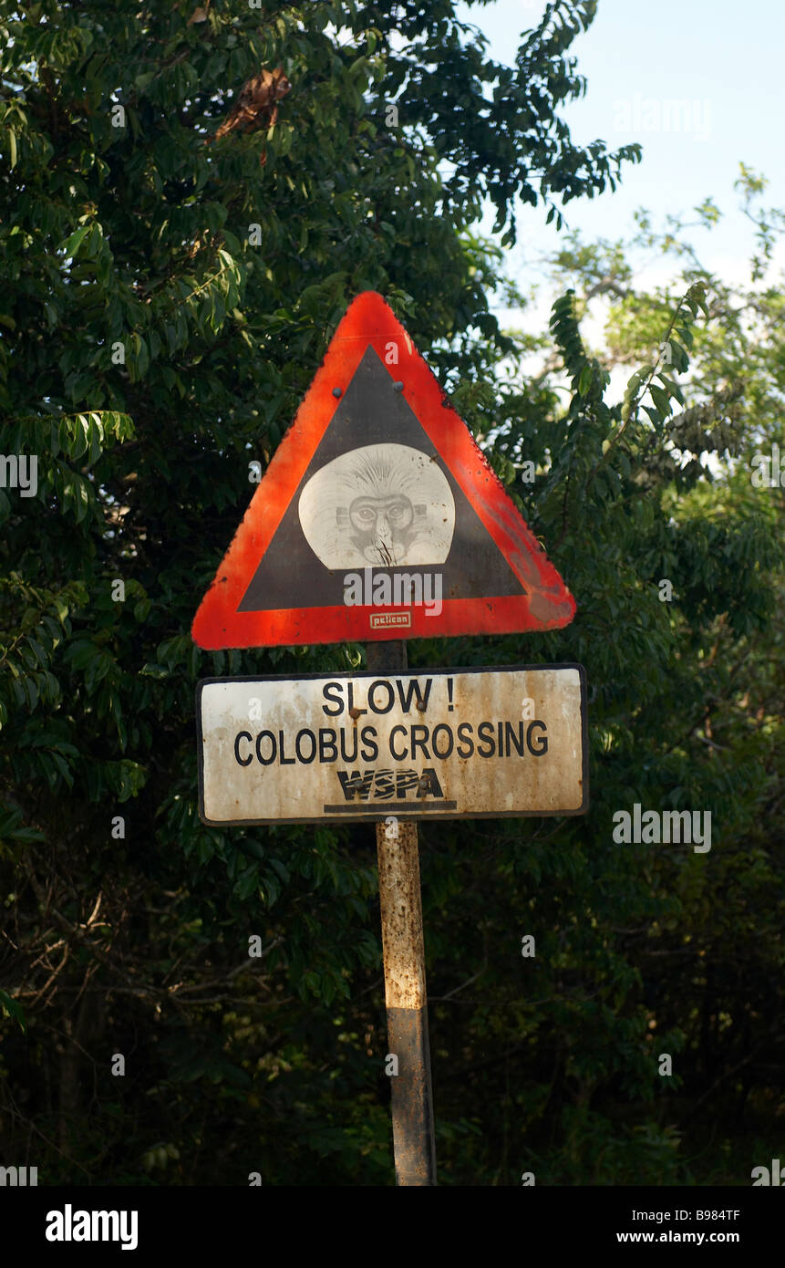 Road sign at Zanzibar island Stock Photo - Alamy