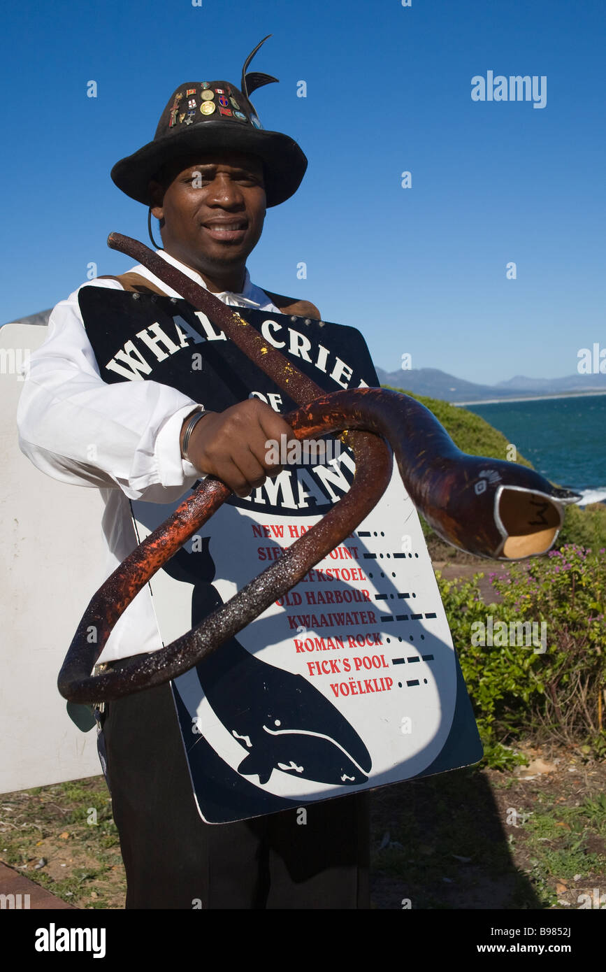 Whale crier Hermanus Western Cape South Africa Stock Photo - Alamy