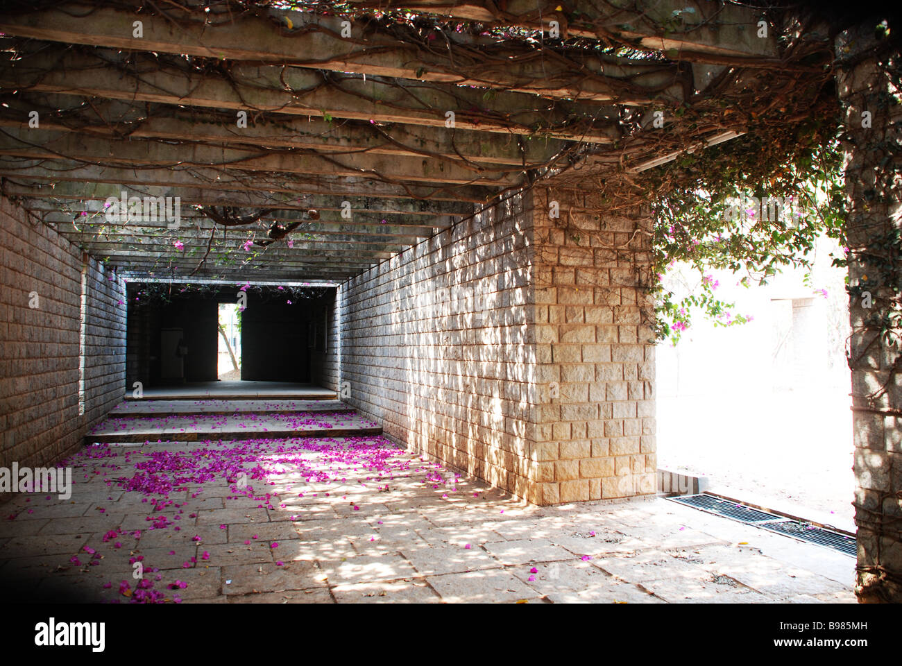 Passage of a building in bangalore Stock Photo - Alamy