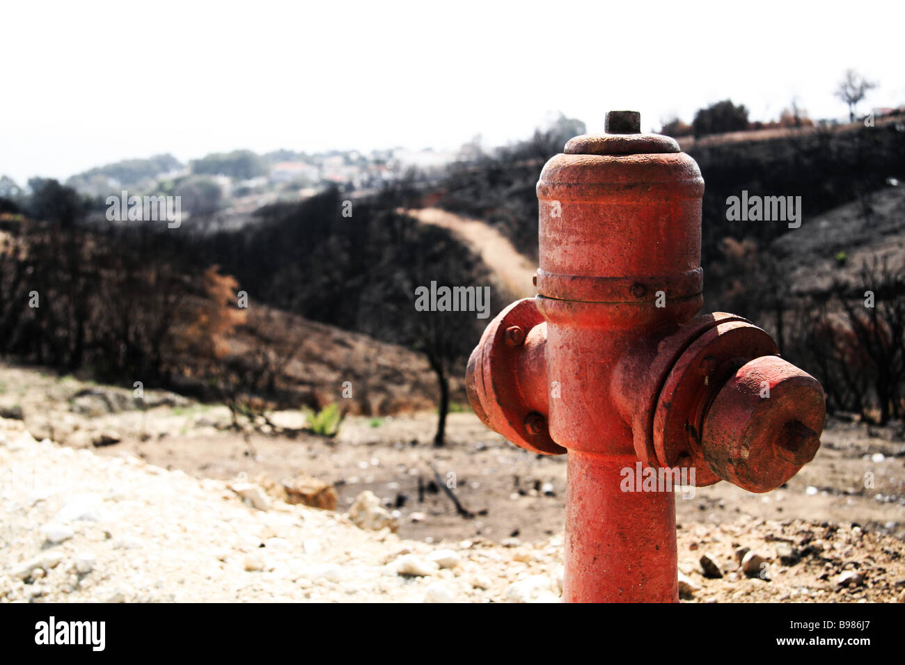 Fire hydrant in bush hi-res stock photography and images - Alamy