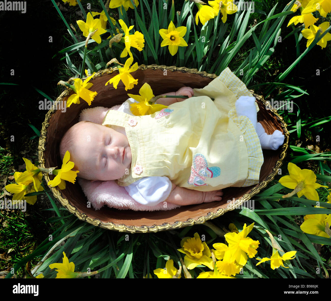 A premature Easter baby falls asleep in a giant chocolate easter egg ...