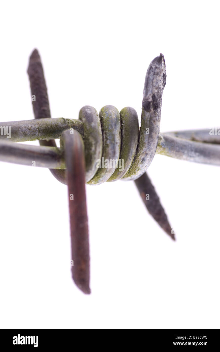 Extreme close up of a barb wire isolated on a white background Stock ...