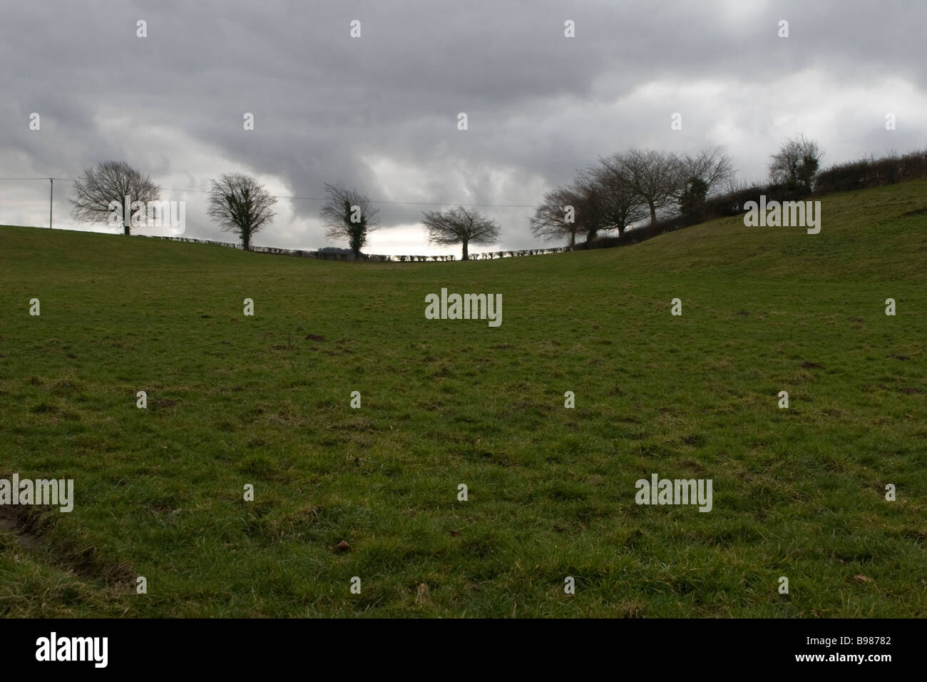 English field landscape with trees Stock Photo - Alamy