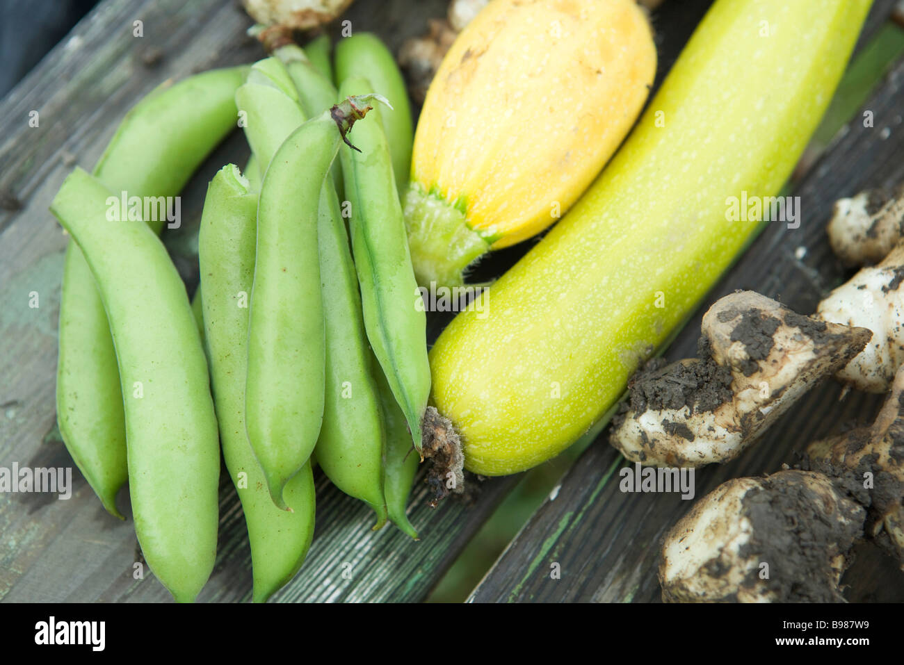 Broad beans, squash, and Jerusalem artichokes Stock Photo - Alamy