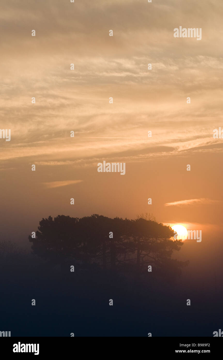 Sunrise behind trees Stock Photo - Alamy
