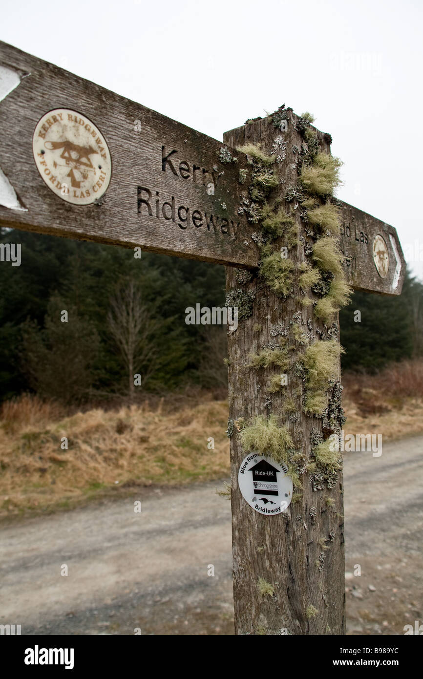 Welsh lichen hi-res stock photography and images - Alamy