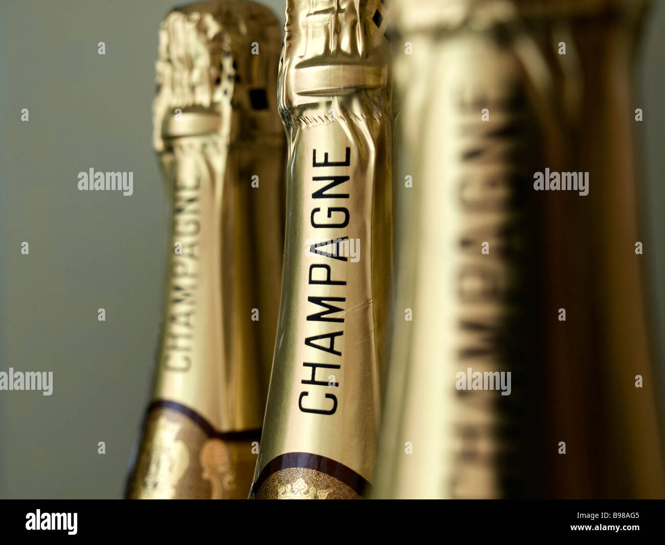 Bottles of champagne lined up on a table showcasing their elegant gold ...