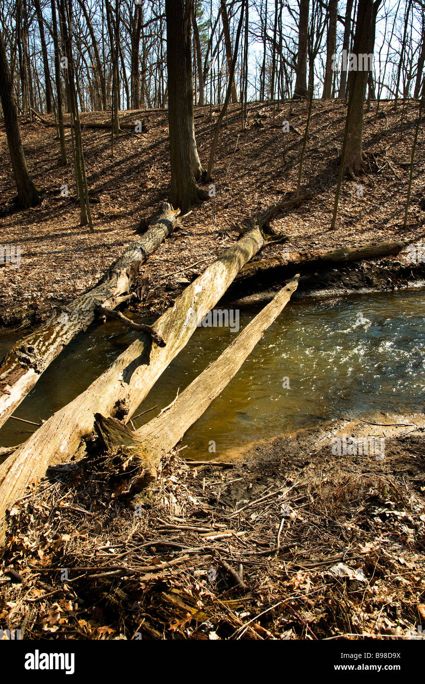 Fallen Trees Across Water High Resolution Stock Photography and Images ...