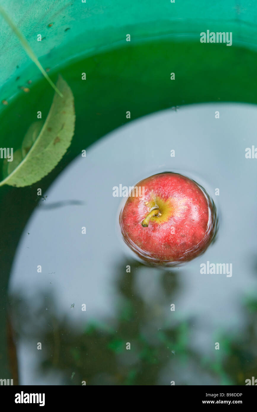 Apple floating in water Stock Photo - Alamy