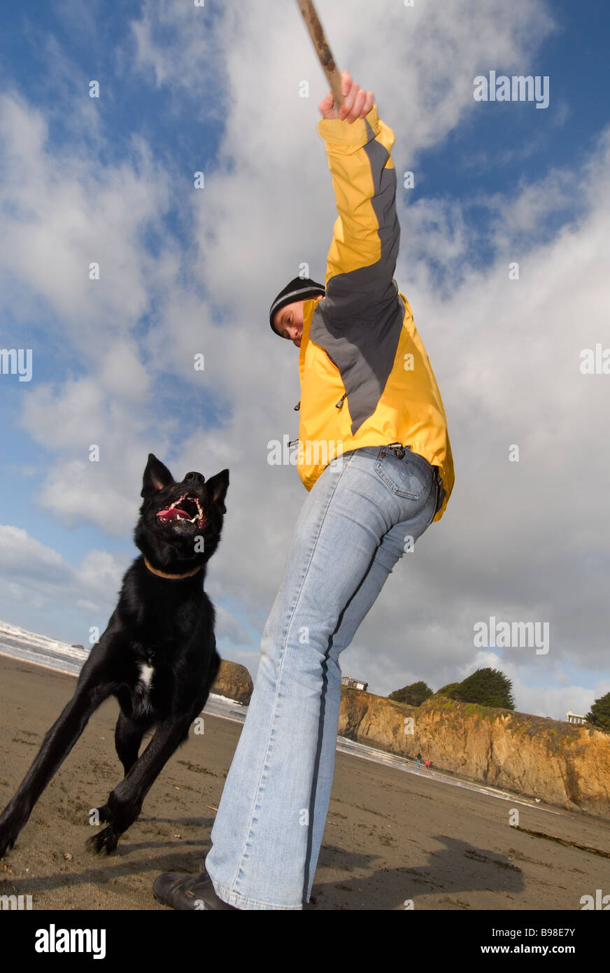 Playing fetch with stick hi-res stock photography and images - Alamy