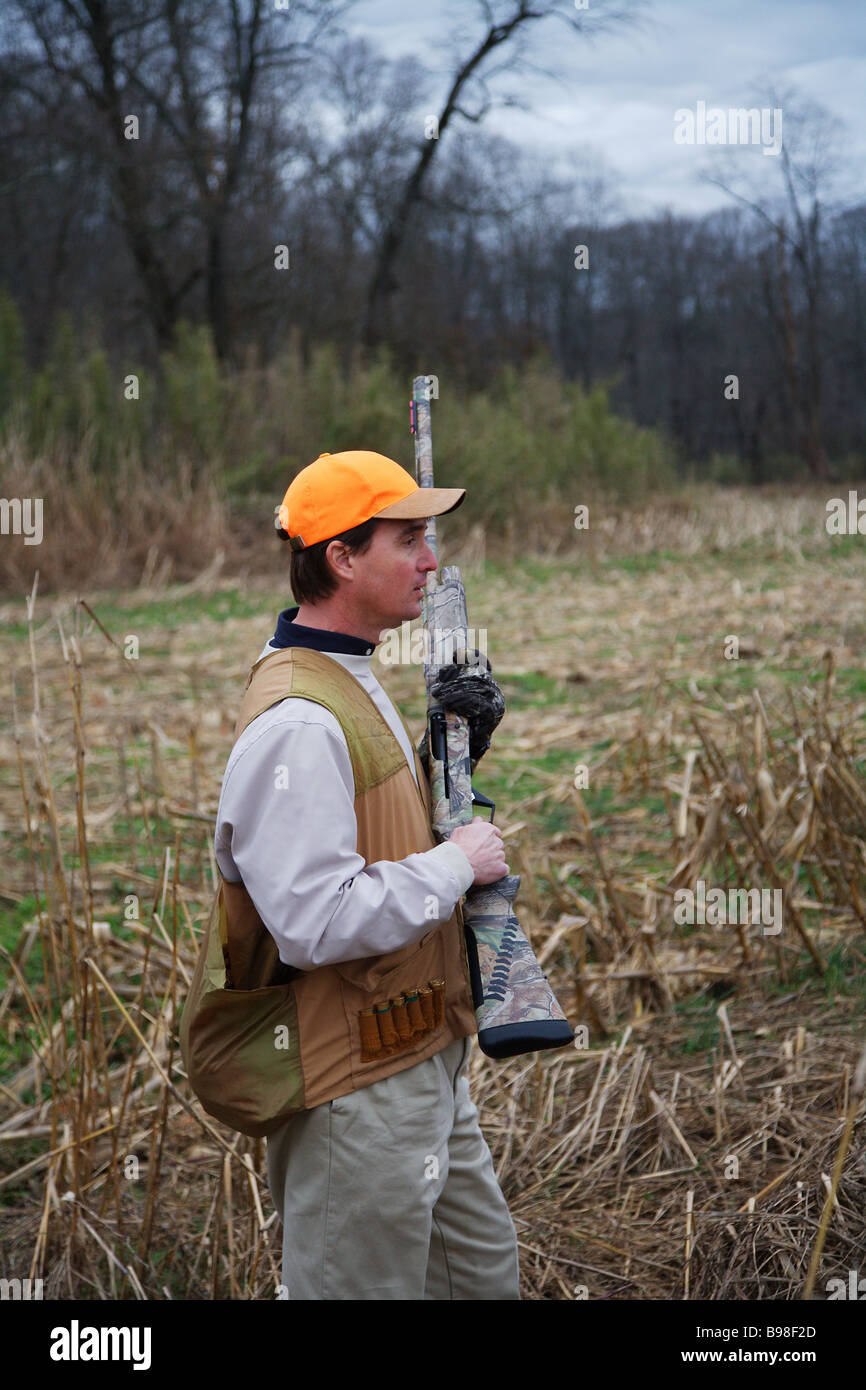 SIDE VIEW UPLAND BIRD HUNTER TRYING TO FLUSH GAME Stock Photo - Alamy