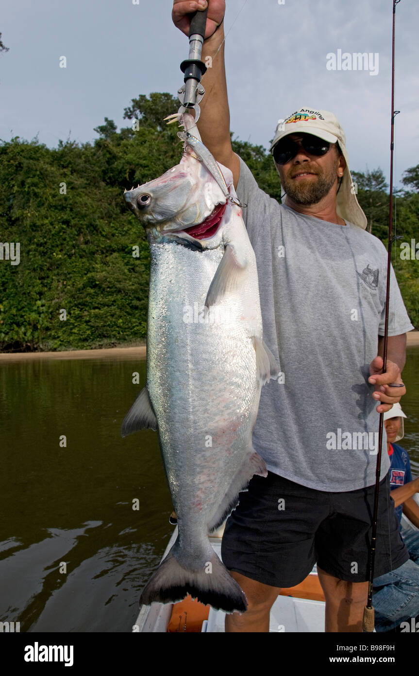 All You Need To Know About Brasil’S Payara – JCDAT