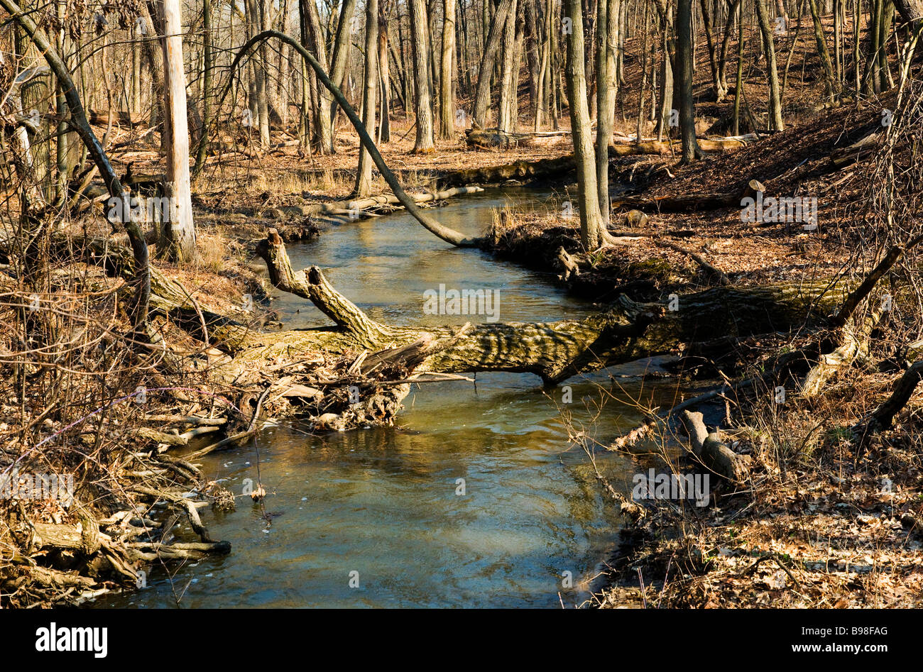 Turner creek hi-res stock photography and images - Alamy