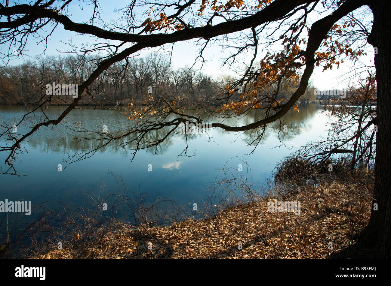 Reed Lake in Illinois Stock Photo - Alamy